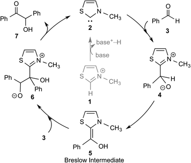 Tale of the Breslow intermediate, a central player in N-heterocyclic ...
