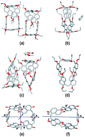 An intramolecularly self-templated synthesis of macrocycles: self ...