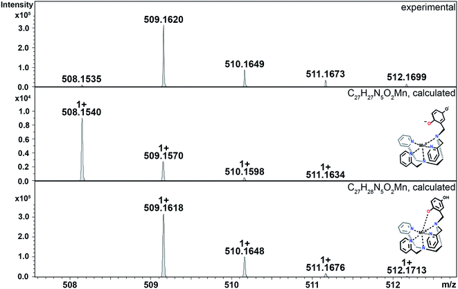 Quinol-containing ligands enable high superoxide dismutase activity by ...