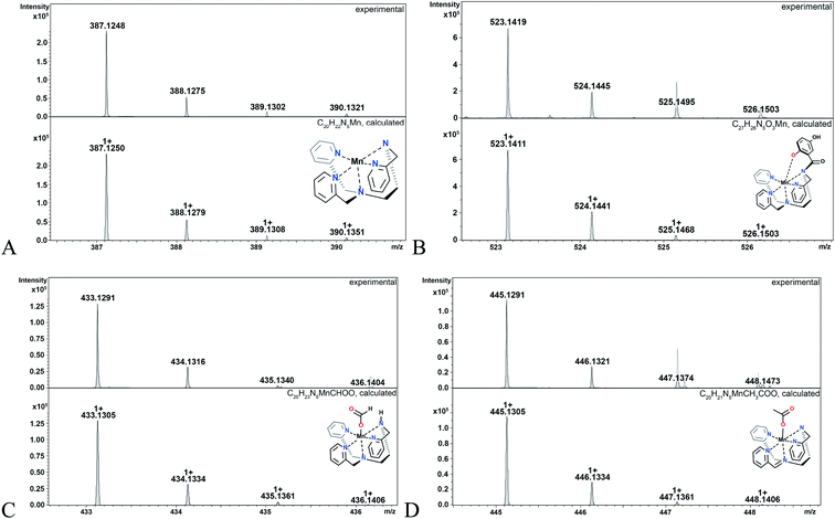 Quinol-containing ligands enable high superoxide dismutase activity by ...