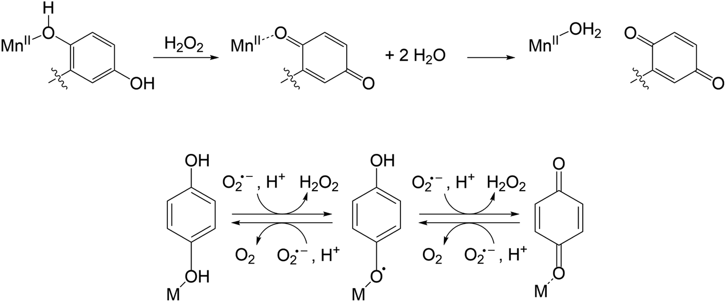 Quinol-containing ligands enable high superoxide dismutase activity by ...