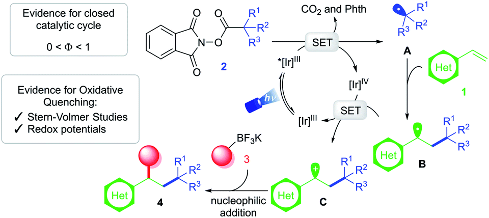 Photoinduced 1,2-dicarbofunctionalization of alkenes with ...