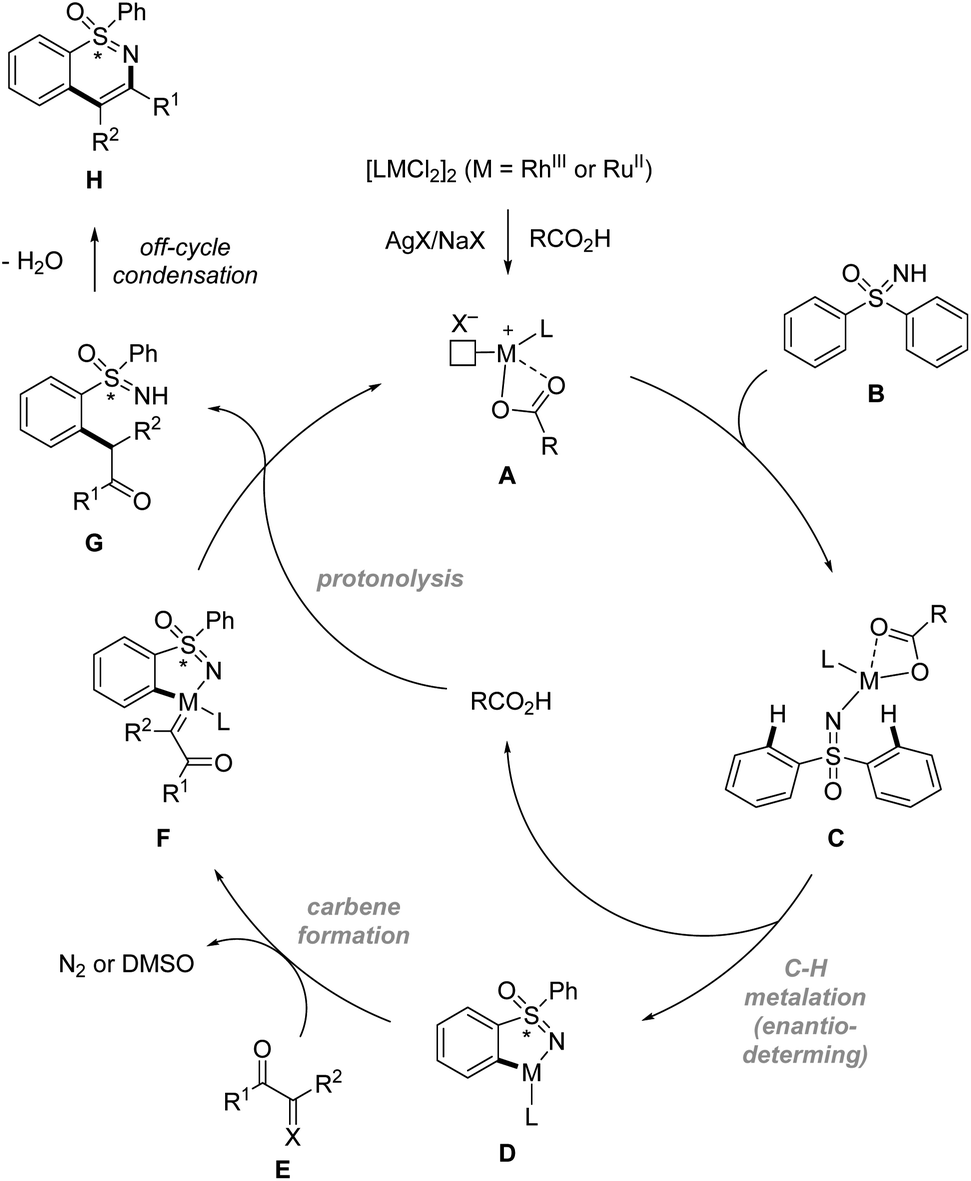 Sulfur stereogenic centers in transition-metal-catalyzed asymmetric C–H ...