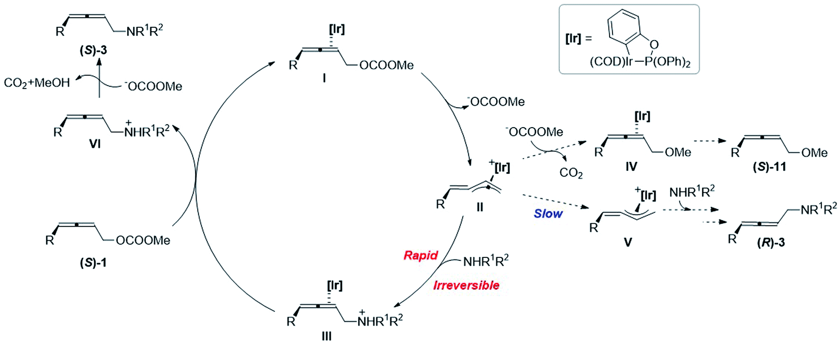 Chirality memory of α-methylene-π-allyl iridium species - Chemical ...