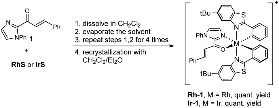 Understanding the mechanism of direct visible-light-activated [2 + 2 ...