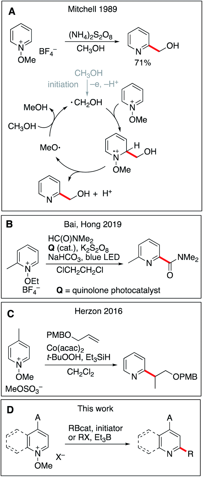 Radical chain monoalkylation of pyridines - Chemical Science (RSC ...
