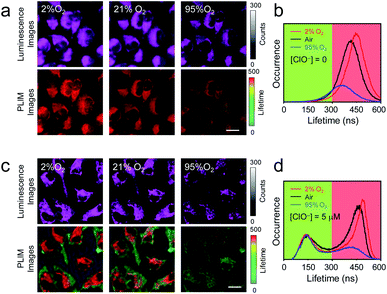 Time-resolved analysis of photoluminescence at a single wavelength for ...