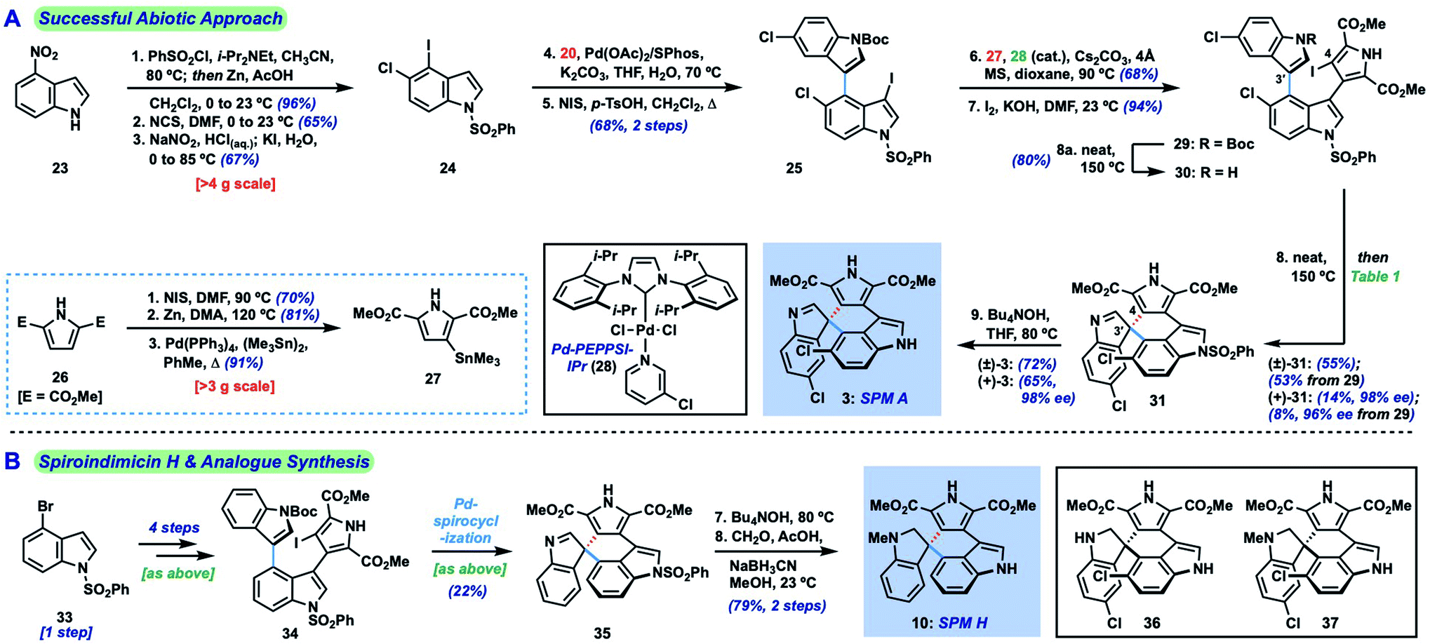 Total synthesis of (+)-spiroindimicin A and congeners unveils their ...