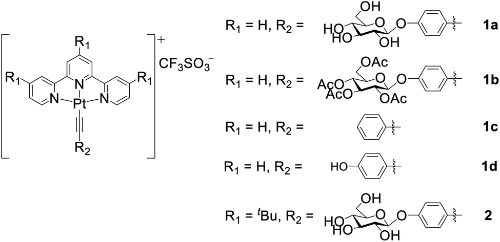 Dynamic supramolecular self-assembly of platinum( ii ) complexes ...