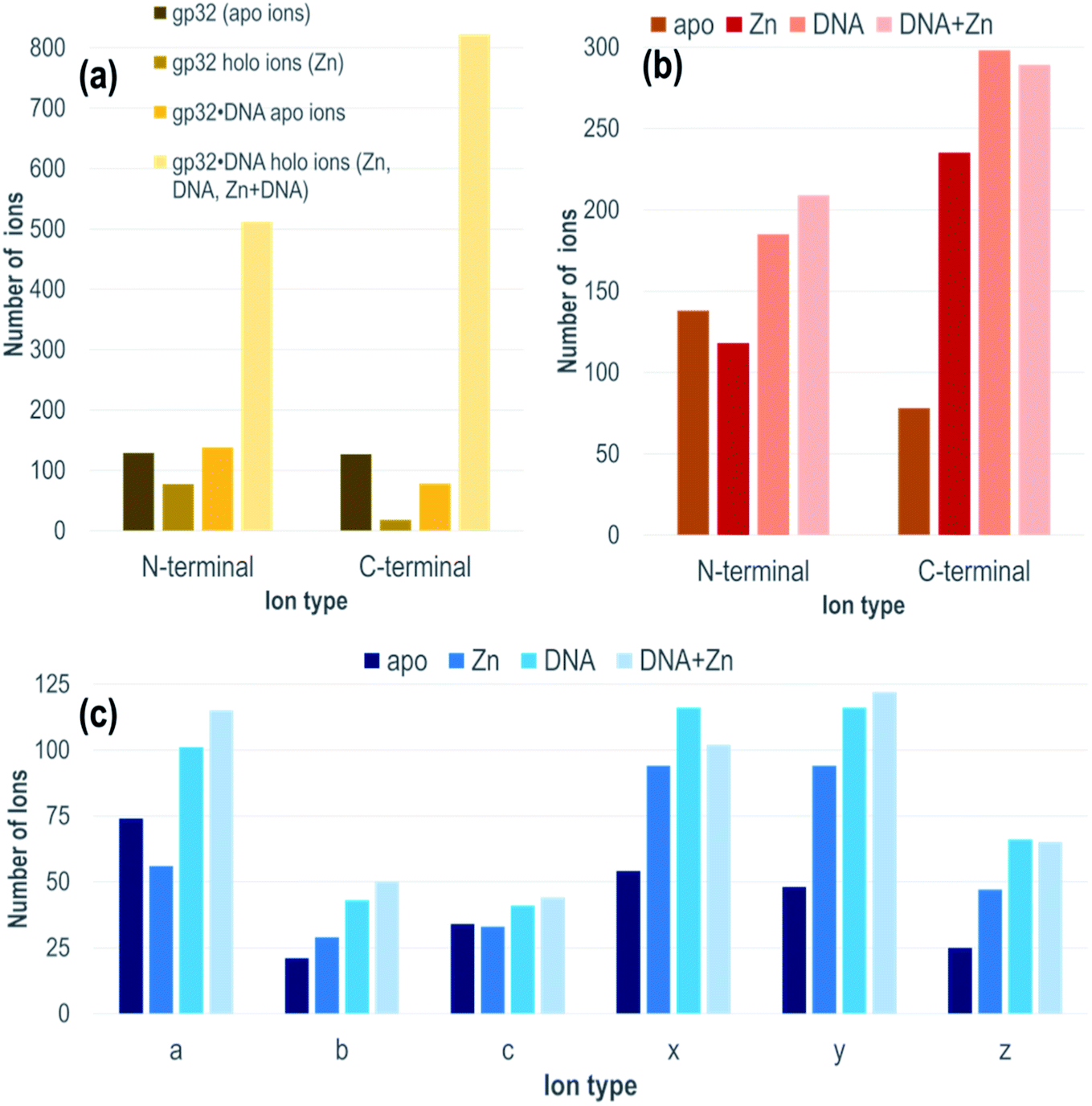 Characterization of the T4 gp32–ssDNA complex by native, cross-linking ...