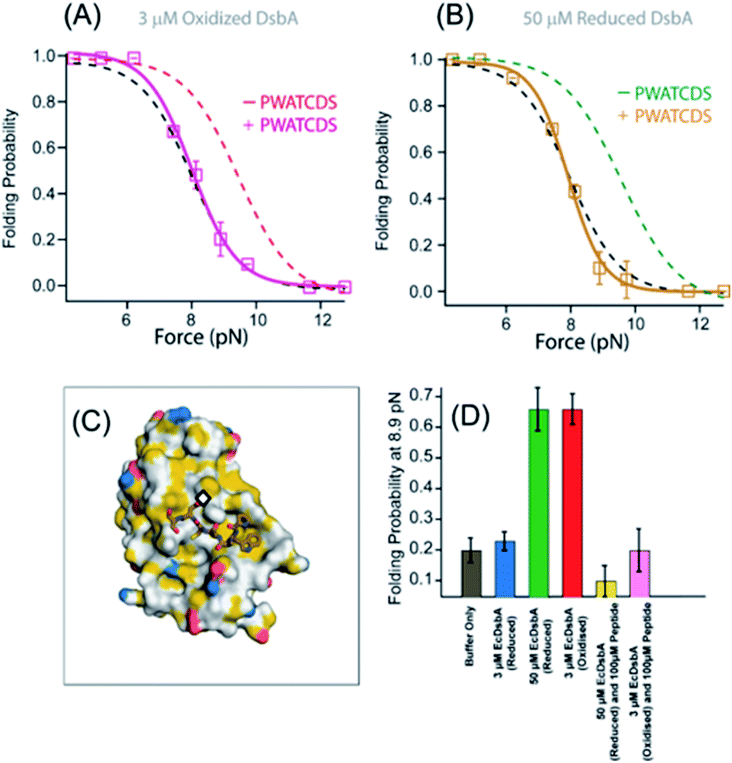 DsbA is a redox-switchable mechanical chaperone - Chemical Science (RSC ...