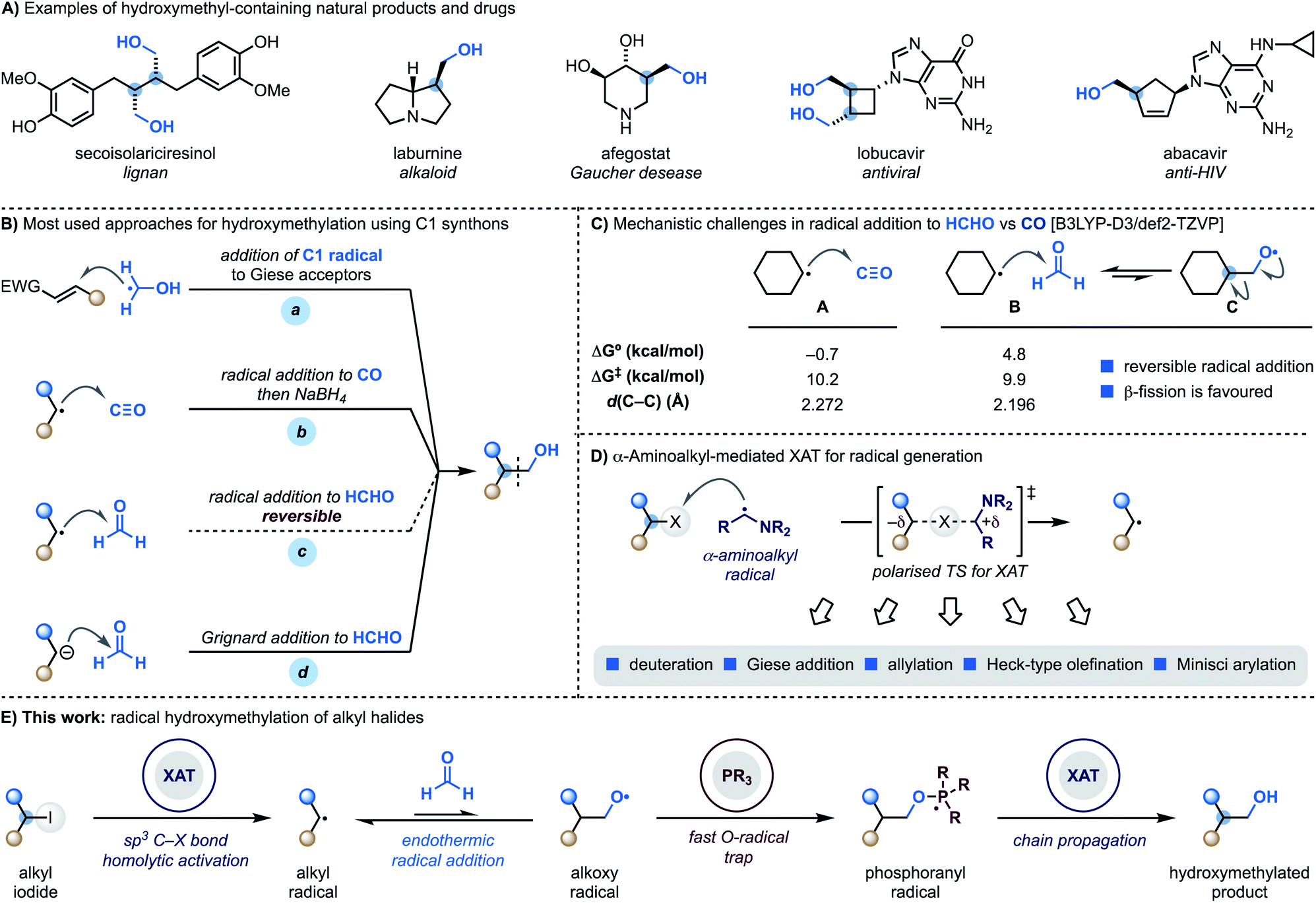 Alkyl Radical