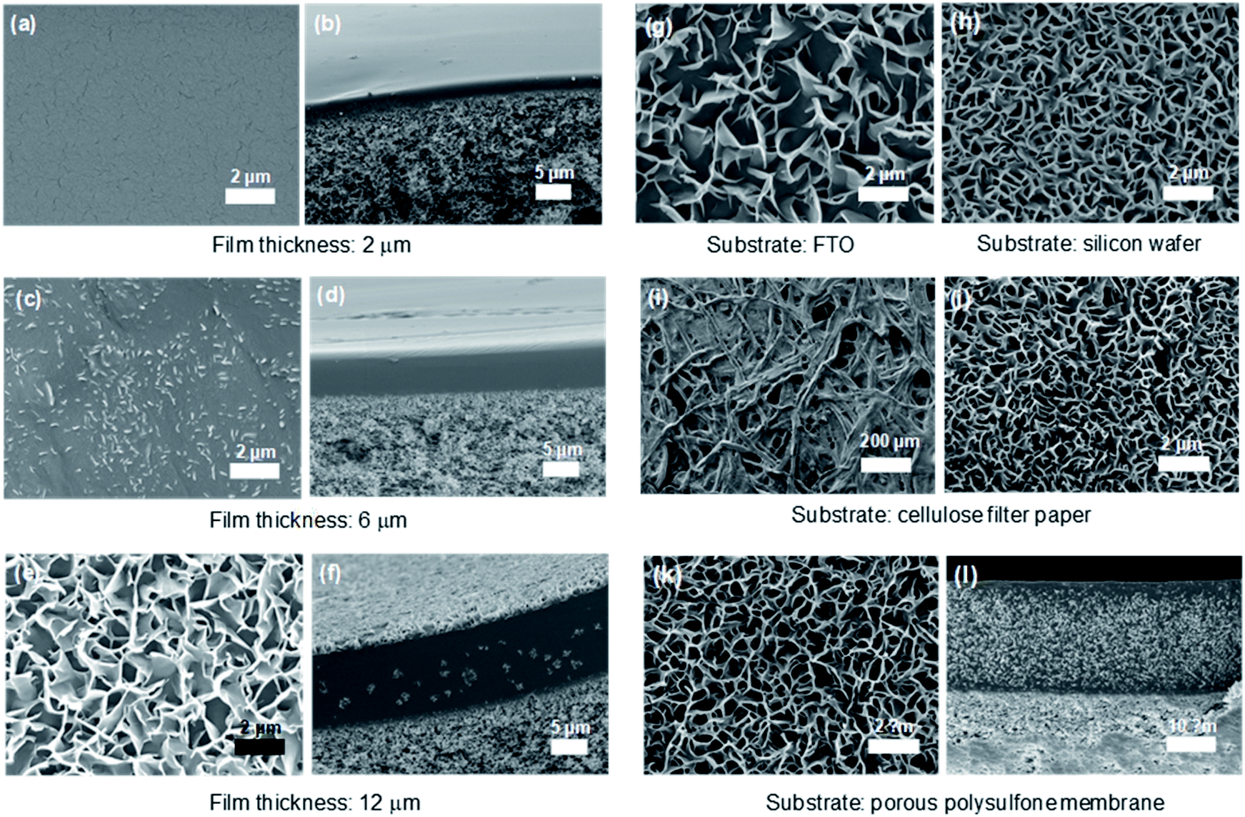 Substrate-independent three-dimensional polymer nanosheets induced by ...