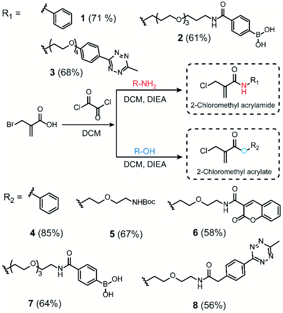 Chemoselective cysteine or disulfide modification via single atom ...