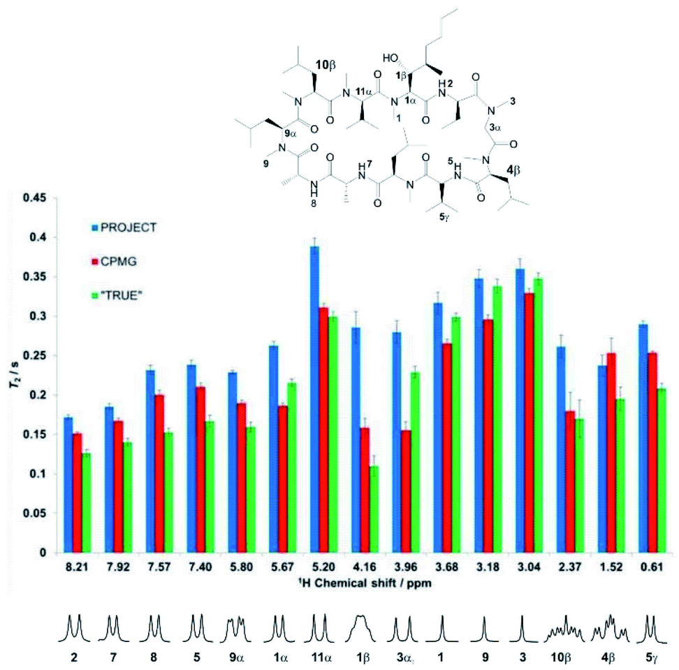 Broadband measurement of true transverse relaxation rates in systems ...