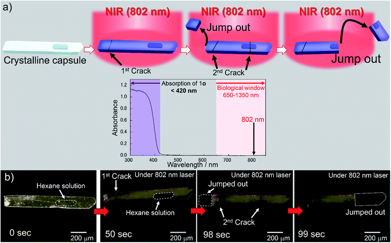 Molecular crystalline capsules that release their contents by light ...