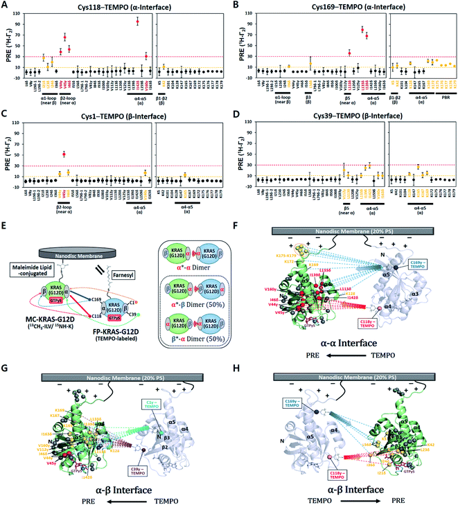 Oncogenic KRAS G12D mutation promotes dimerization through a second ...