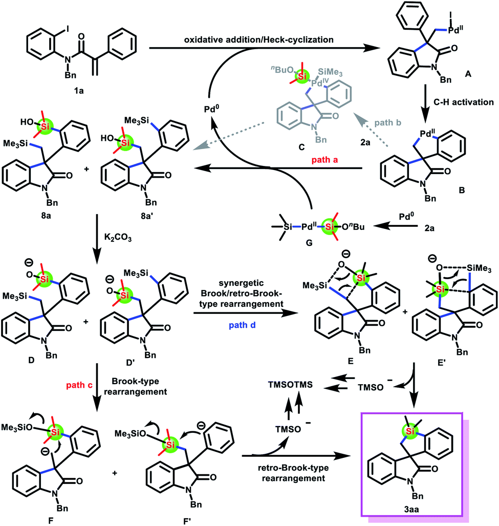 Me 3 SiSiMe 2 (O n Bu): a disilane reagent for the synthesis of diverse ...