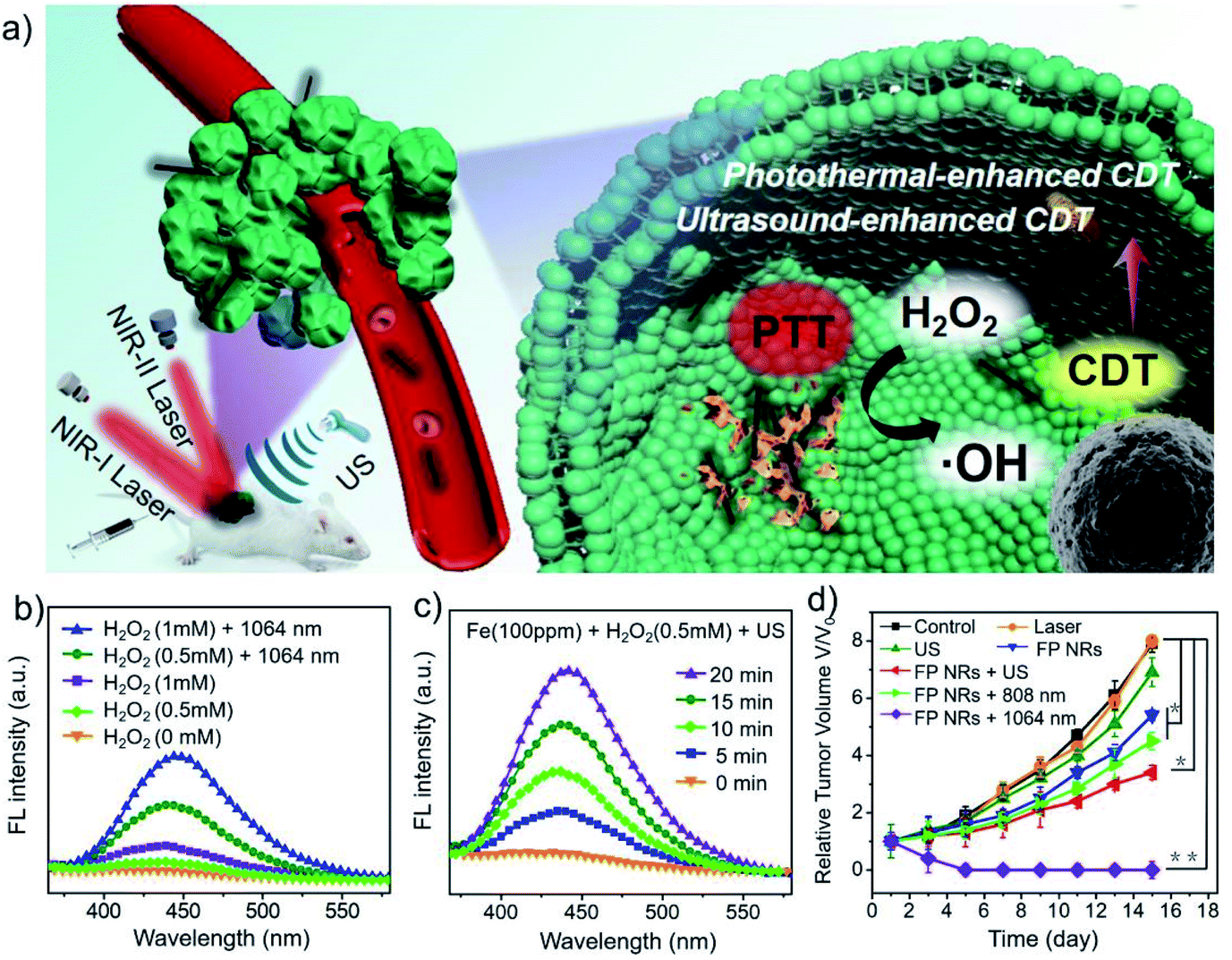 Cancer therapeutic strategies based on metal ions - Chemical Science ...