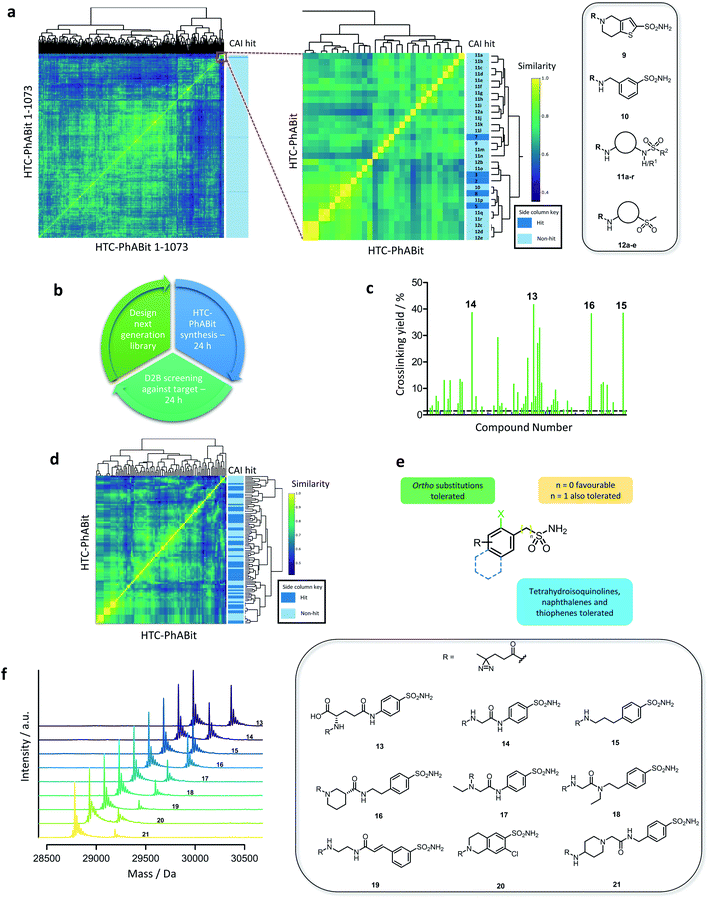A direct-to-biology high-throughput chemistry approach to reactive ...