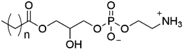 The phospholipid membrane compositions of bacterial cells, cancer cell ...