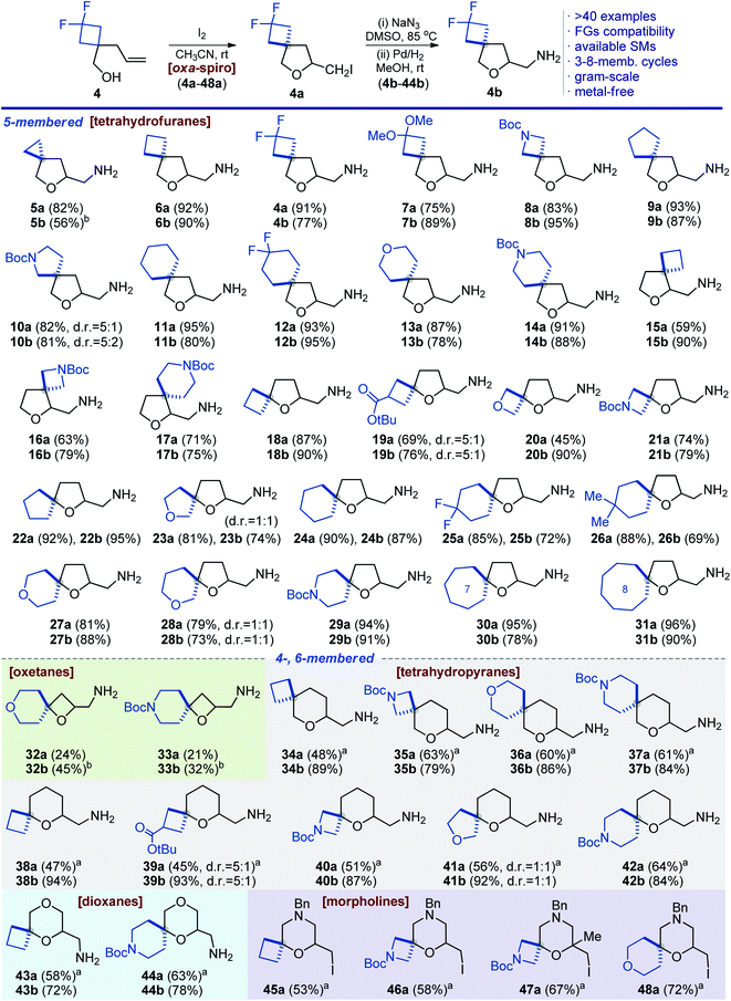 Oxa-spirocycles: synthesis, properties and applications - Chemical ...