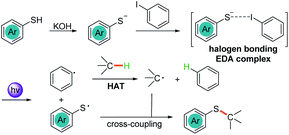 A photoexcited halogen-bonded EDA complex of the thiophenolate anion ...