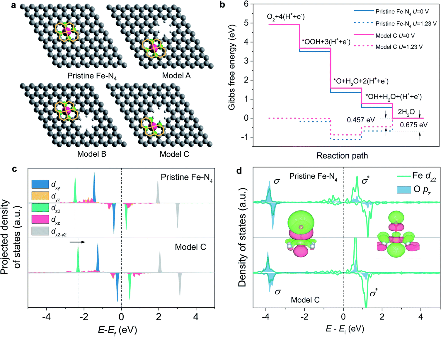 Degradation and regeneration of Fe–N x active sites for the oxygen ...