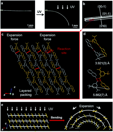 Programmable photoresponsive materials based on a single molecule via ...