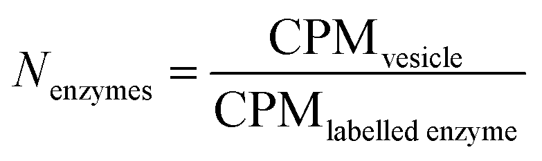 Clustering of catalytic nanocompartments for enhancing an extracellular ...