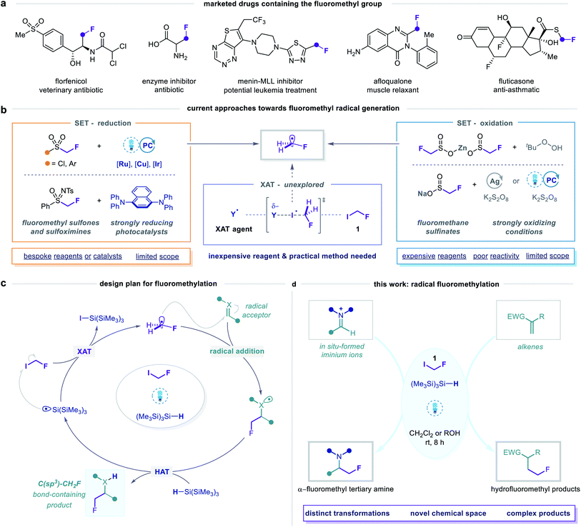 Visible light-mediated radical fluoromethylation via halogen atom ...
