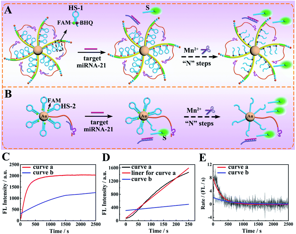 A core–brush 3D DNA nanostructure: the next generation of DNA ...