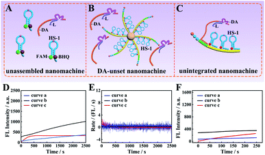 A core–brush 3D DNA nanostructure: the next generation of DNA ...