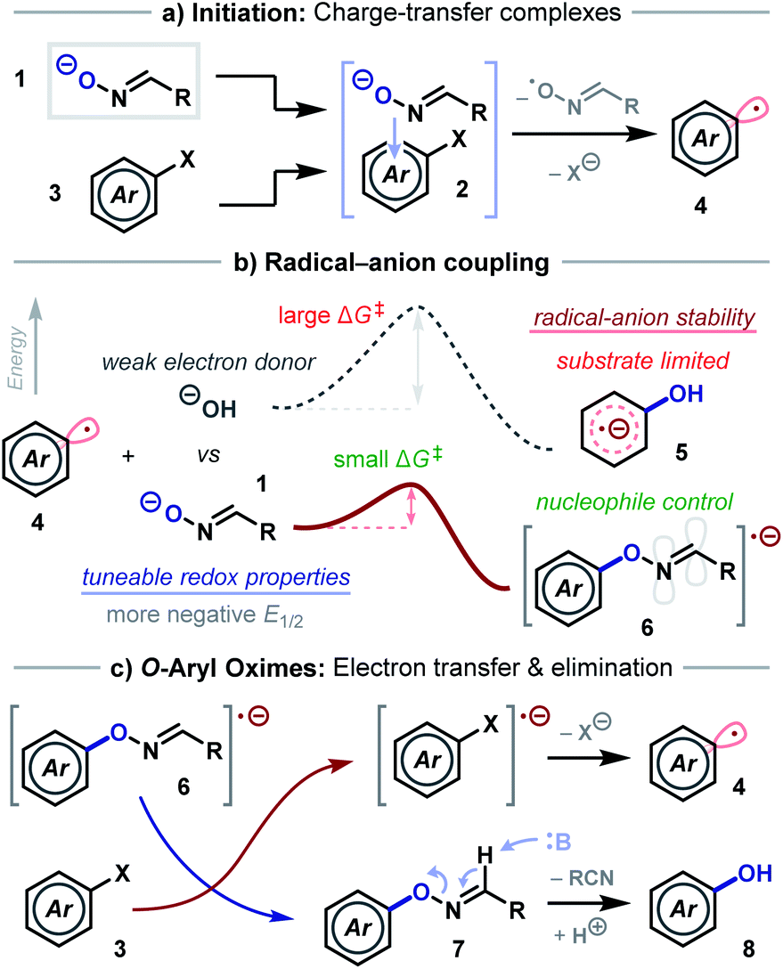 Radical–anion coupling through reagent design: hydroxylation of aryl ...