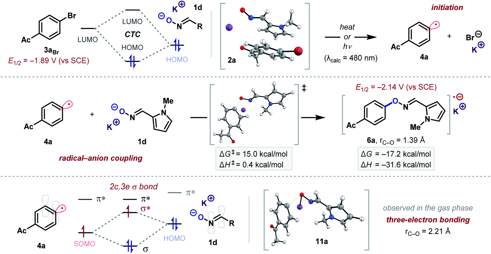 Radical–anion coupling through reagent design: hydroxylation of aryl ...