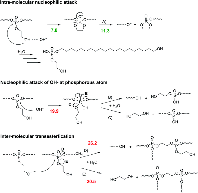 RNA-inspired intramolecular transesterification accelerates the ...