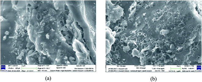 Bio-oil and biochar production from halophyte biomass: effects of pre ...