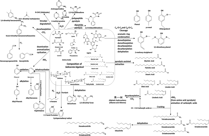 Bio-oil and biochar production from halophyte biomass: effects of pre ...