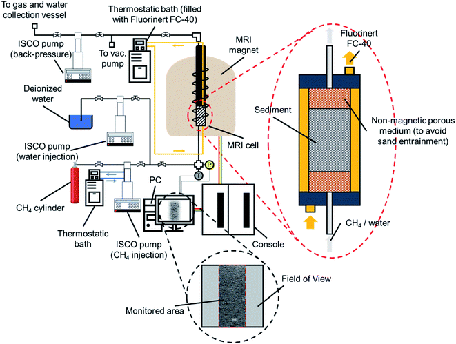 Effect of thermal formation/dissociation cycles on the kinetics of ...