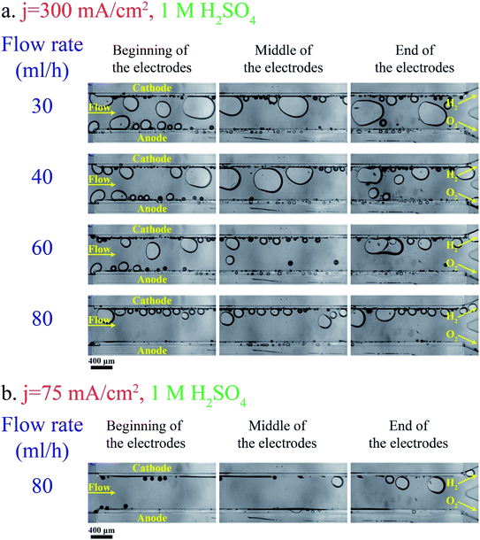 A membrane-less electrolyzer with porous walls for high throughput and ...