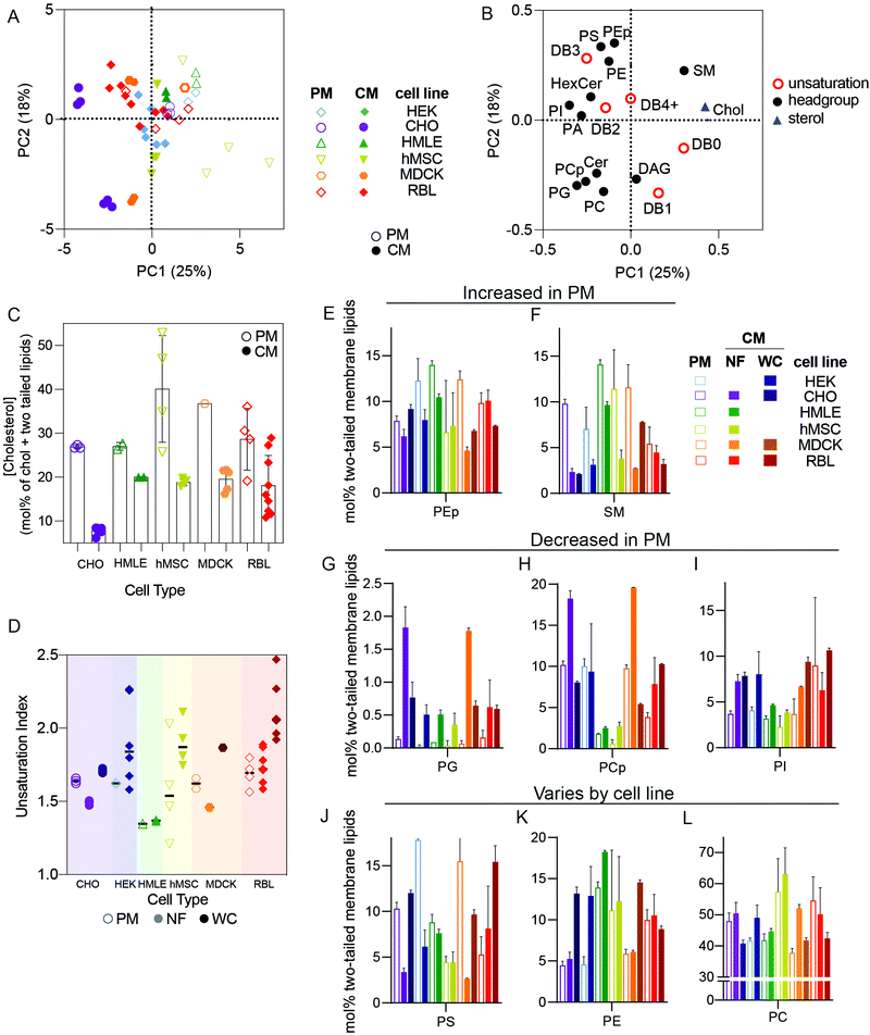 Lipidomic atlas of mammalian cell membranes reveals hierarchical ...