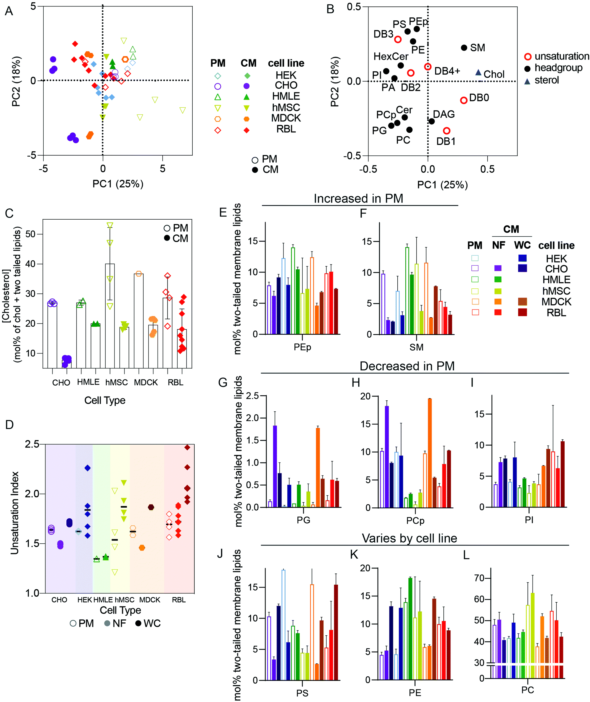 Lipidomic atlas of mammalian cell membranes reveals hierarchical ...