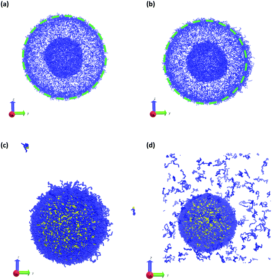 Using reactive dissipative particle dynamics to understand local shape manipulation of polymer ...