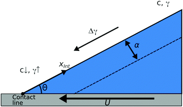 Flow profiles near receding three-phase contact lines: influence of ...