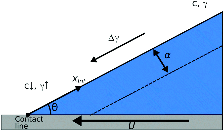 Flow profiles near receding three-phase contact lines: influence of ...