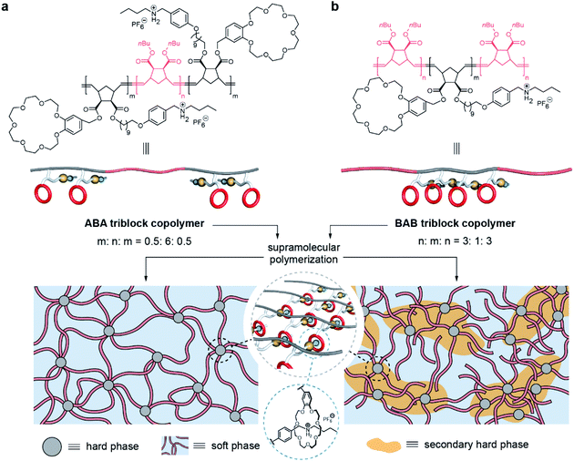Supramolecular polymer-assisted manipulation of triblock copolymers ...