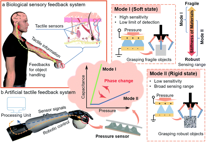 A phase-change gel based pressure sensor with tunable sensitivity for ...