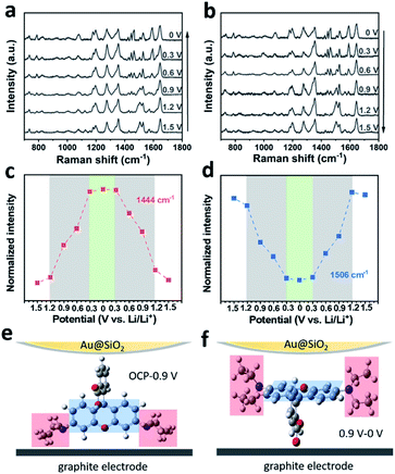 In situ surface-enhanced Raman spectroelectrochemistry reveals the ...