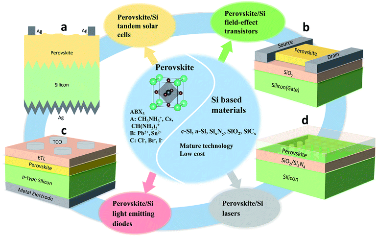 Optoelectronic devices based on the integration of halide perovskites ...