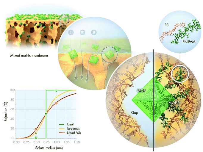 Bridging the interfacial gap in mixed-matrix membranes by nature ...